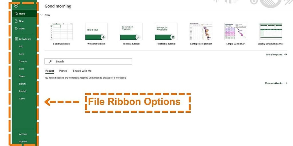 File Ribbon Tab | Excel Hippo