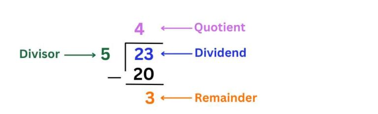 How To Divide in Excel | Excel Hippo